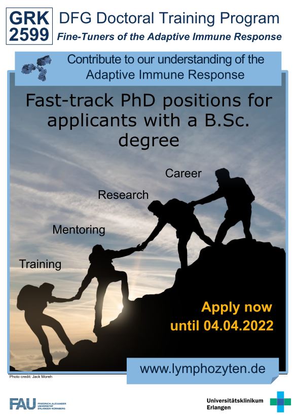 DFG Doctoral Training Group 2599 › RTG2599